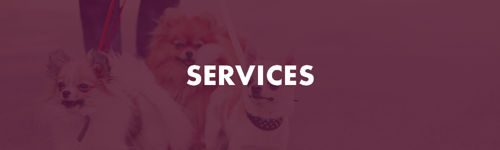 The Difference Between Amenities and Services: Which is Worth More to ...